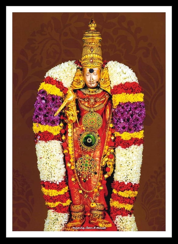 Digitouch Design Goddess Meenakshi Amman Photo Frame, 7 x 9 inches,Wall Mount - Walmart.com