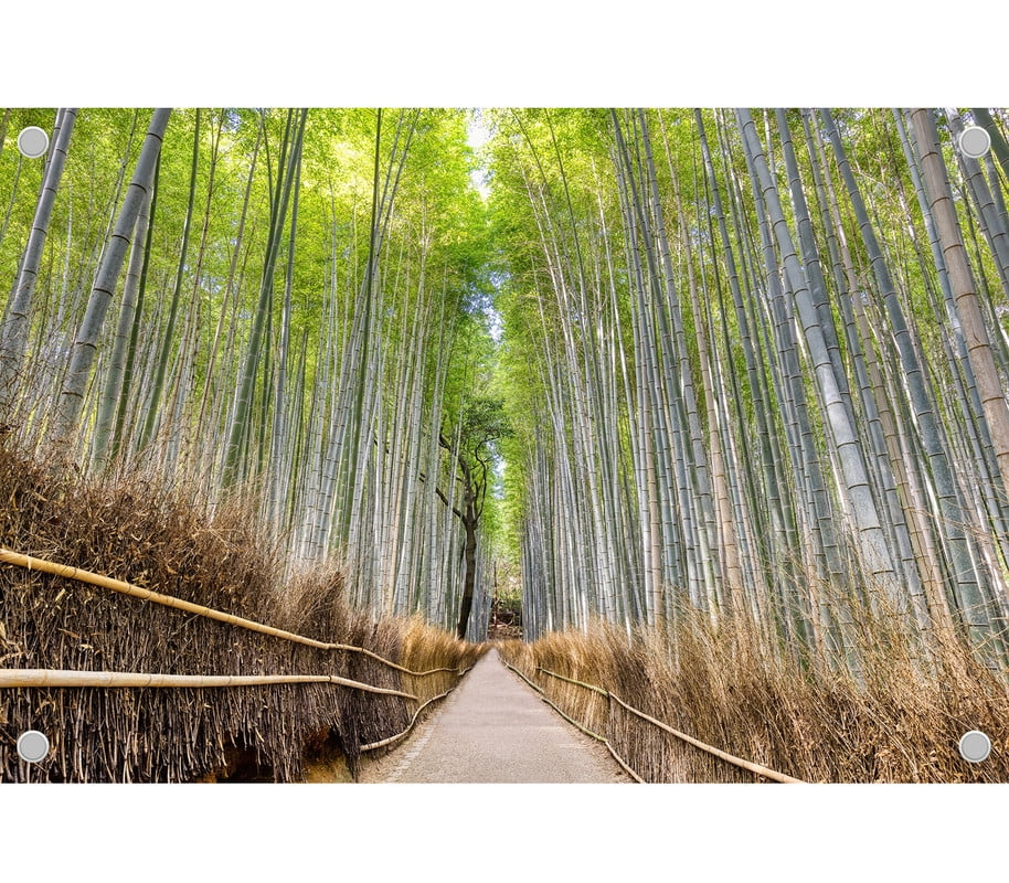 Diha 10x8ft Bamboo Forest Backdrop, Bamboo Path Fence, Backdrop for ...