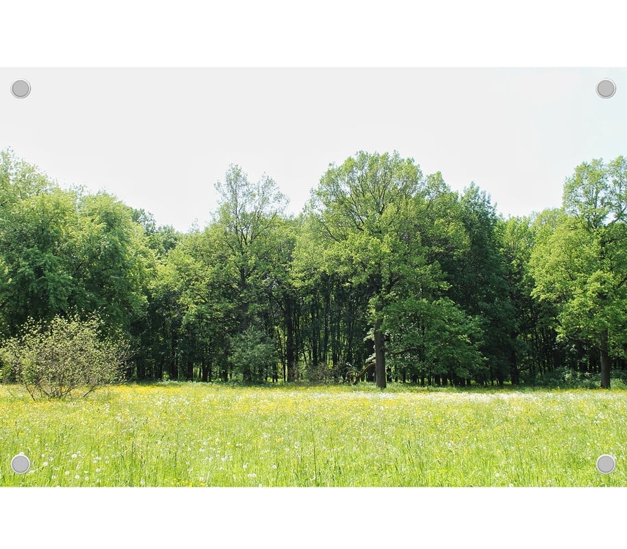 Diha 10x8ft Rural Scenery Backdrop, Green Trees And Grass, Backdrop for ...