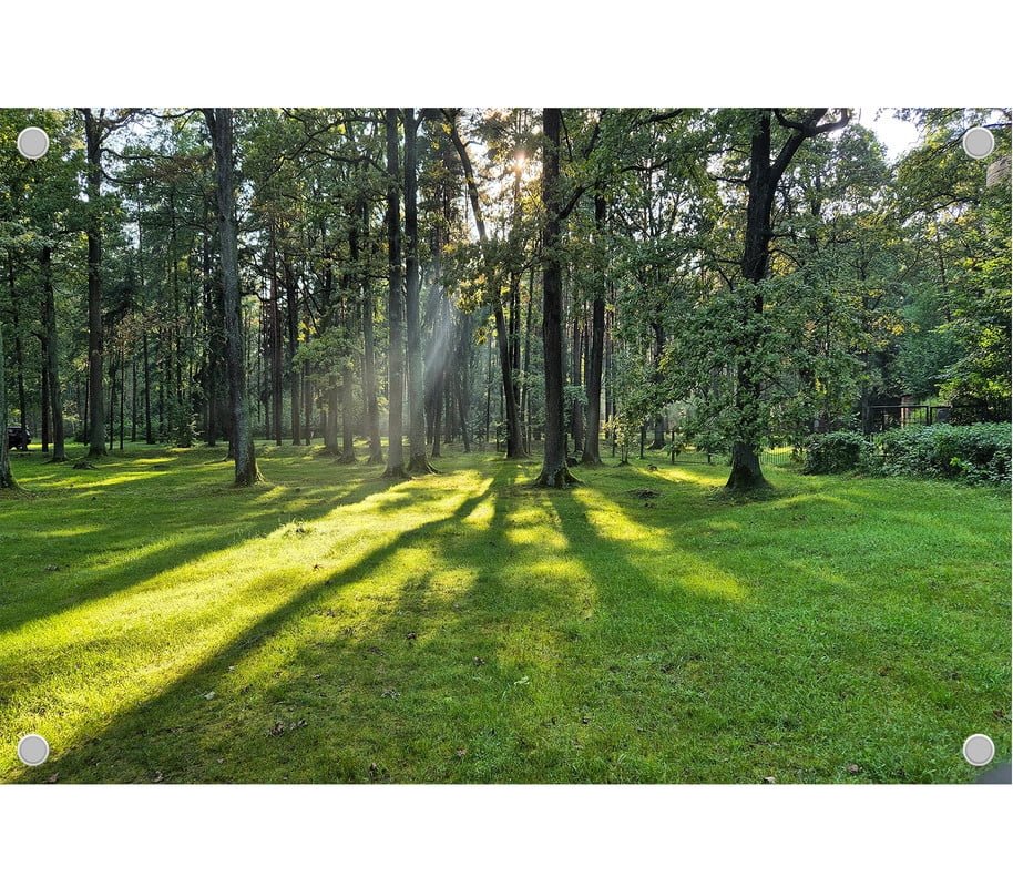 Diha 10x8ft Spring Forest Backdrop Trees Sunlight Green Grassland ...