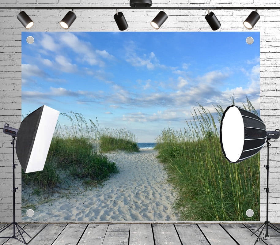 Diha 12x10ft Beach Dune Path Backdrop – Sandy Trail, Seagrass Fringes ...