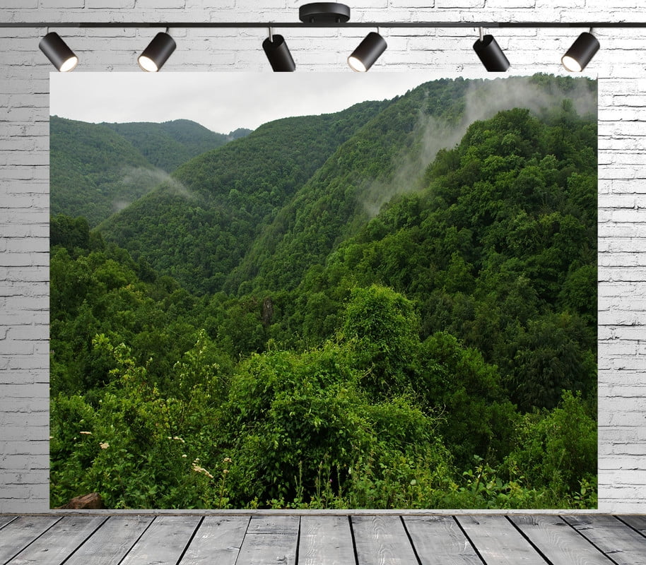Diha 12x10ft Forest Backdrop, Mountain Cloud Trees, Backdrop for Party ...