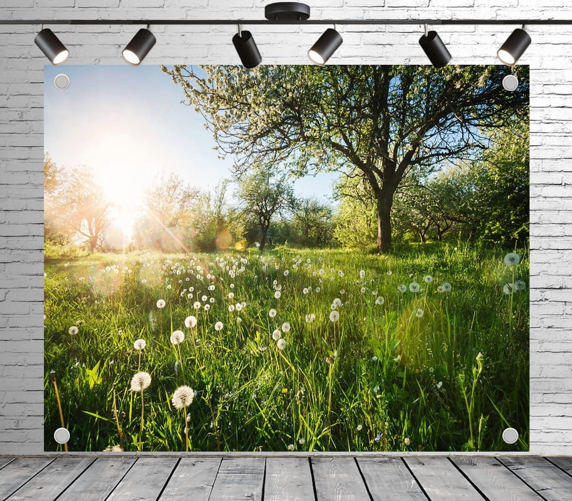 Diha 12x10ft Spring Meadow Backdrop – Dandelion Field, Morning Sunlight ...