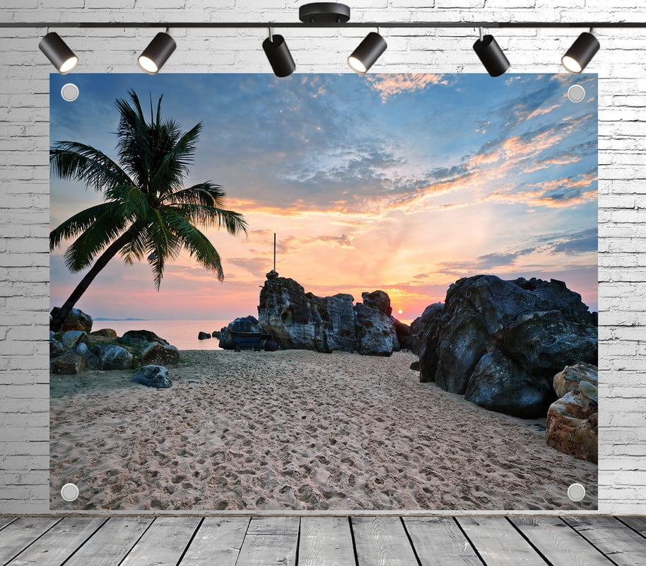 Diha 12x10ft Tropical Beach Sunset Backdrop – Leaning Palm, Giant Rocks ...