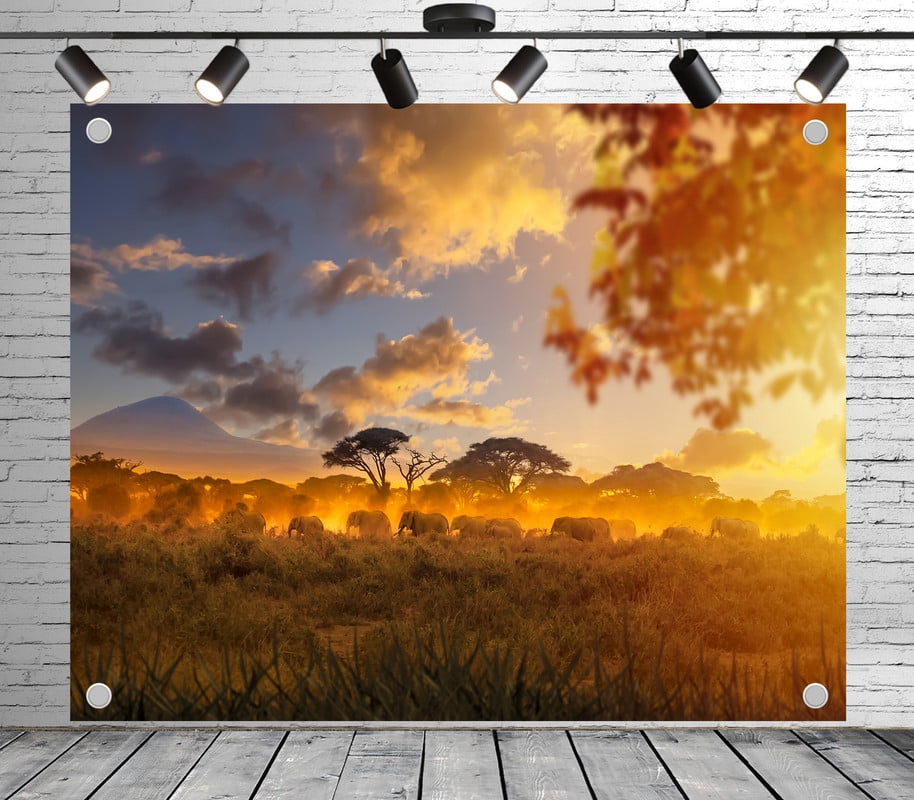 Diha 12x8ft African Grassland Sunset Backdrop – Elephant Herd, Acacia ...