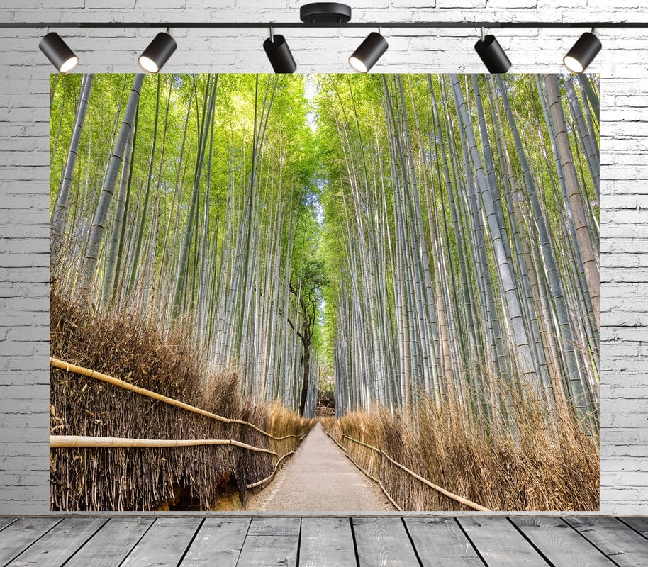 Diha 12x8ft Bamboo Forest Backdrop, Bamboo Path Fence, Backdrop for ...