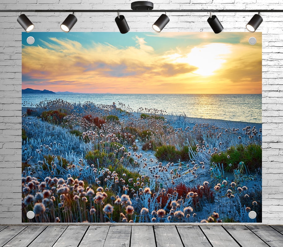 Diha 12x8ft Coastal Wildflower Sunset Backdrop – Colorful Blooms ...