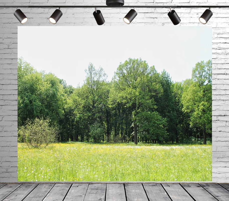Diha 12x8ft Rural Scenery Backdrop, Green Trees And Grass, Backdrop for ...