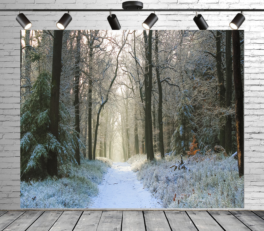 Diha 12x8ft Winter Forest Backdrop, Trees And Roads Covered With Light ...