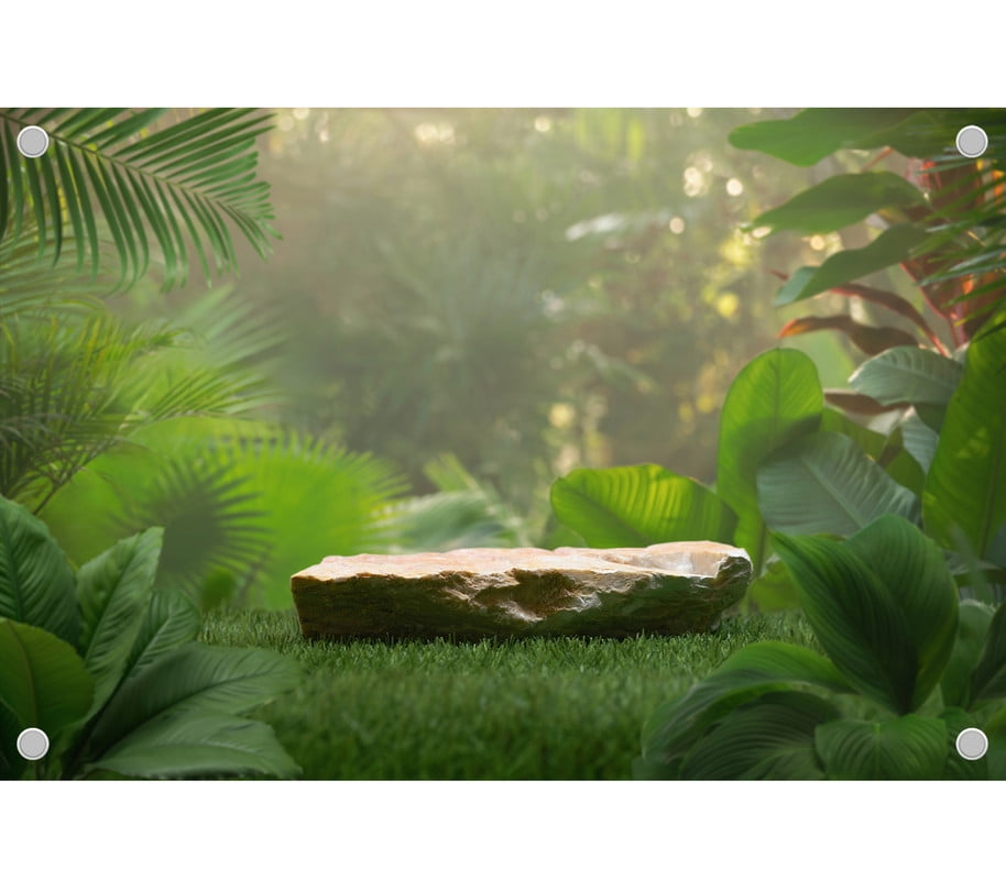 Diha 5x3ft Forest Backdrop, Tropical Raintrees Plants Rocks Grass ...