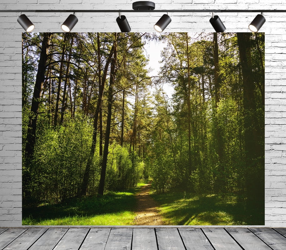 Diha 5x3ft Natural Forest Backdrop, Forest Vegetation Trail, Backdrop ...