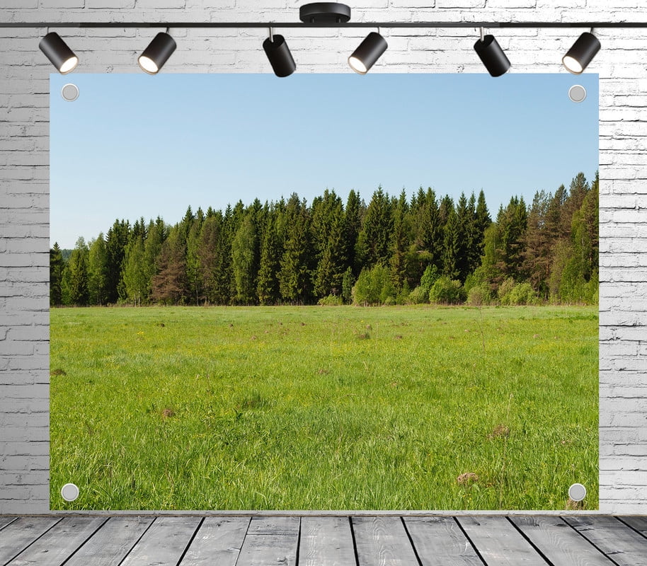 Diha 5x3ft Natural Forest Backdrop, Grassland Tree Sky, Backdrop for ...