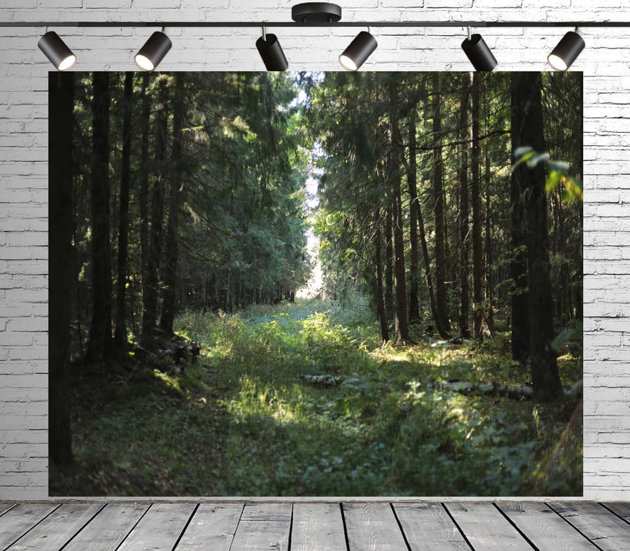 Diha 5x3ft Natural Forest Backdrop, Pine Trees Weedy Path, Backdrop for ...