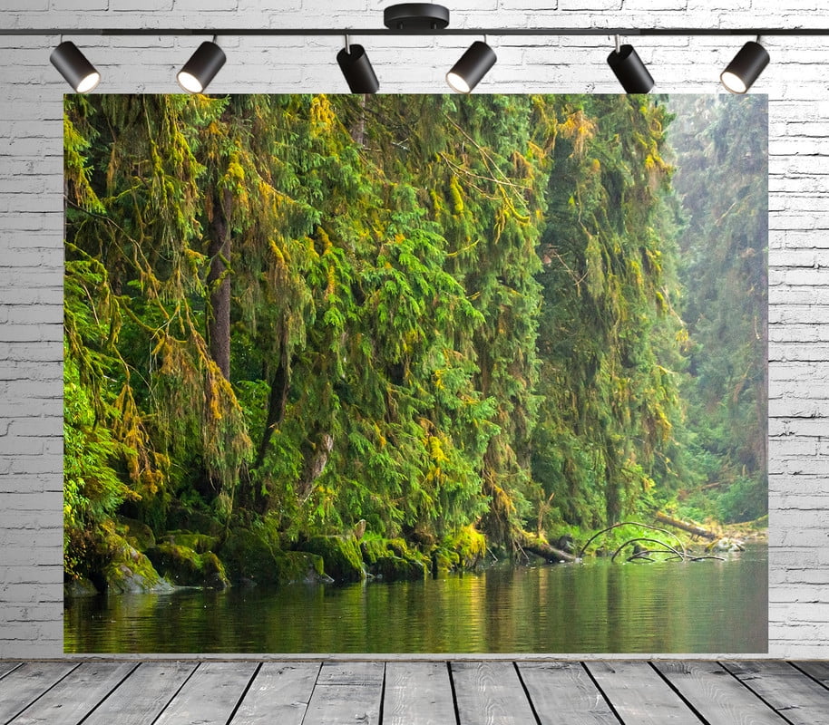Diha 5x3ft Natural Forest Backdrop, Water Bodies Rocks Trees, Backdrop ...