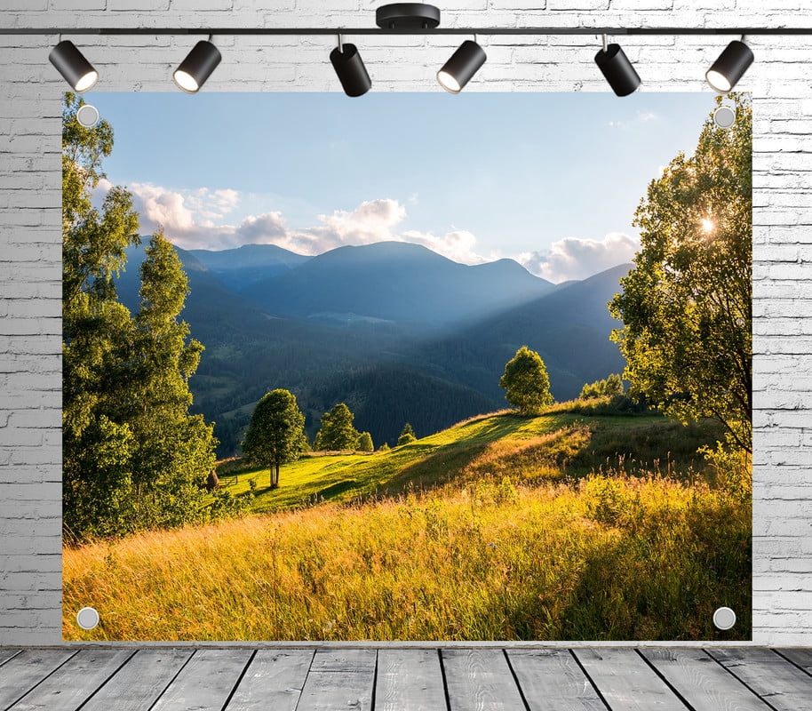 Diha 5x3ft Outdoor Background Golden Grassland Sunlit Mountains Blue ...