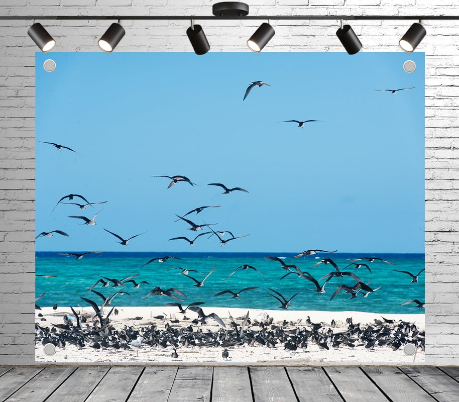 Diha 5x3ft Seabird Colony Beach Backdrop – Flocking Birds, Turquoise ...