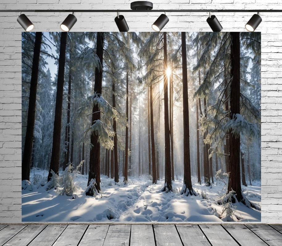 Diha 5x3ft Winter Forest Backdrop, Coniferous Trees Snow Sunlight ...