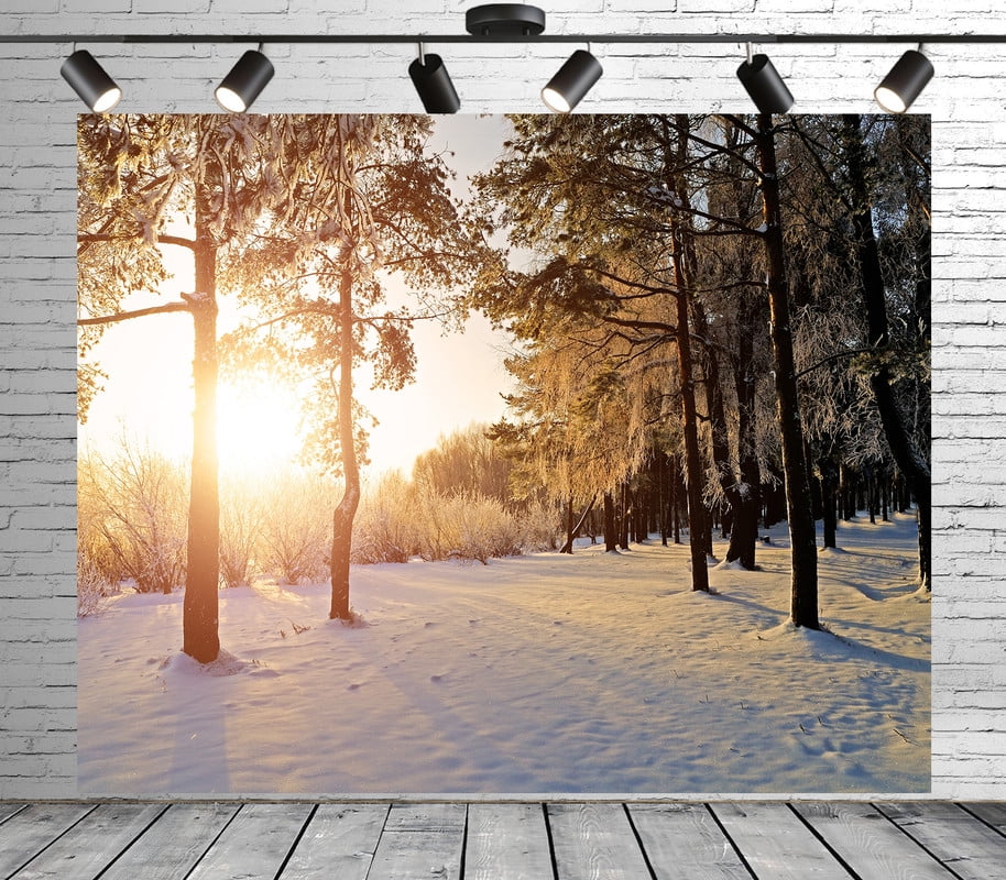 Diha 5x3ft Winter Forest Backdrop, Trees Snow Sunlight, Backdrop for ...