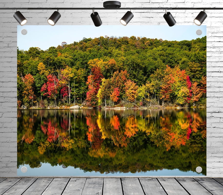 Diha 5x4ft Autumn Forest Backdrop, Colorful trees reflected in the lake ...