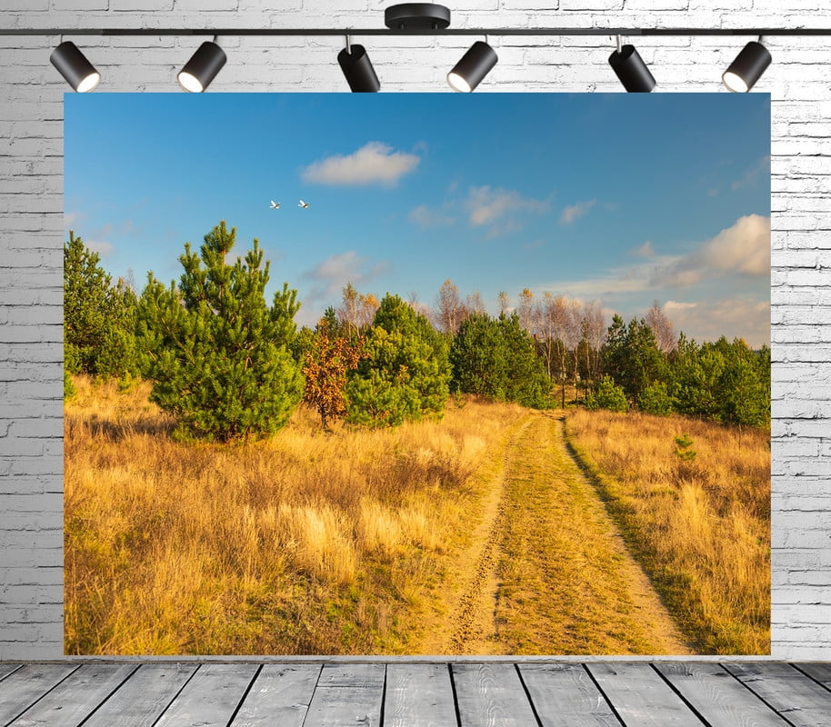 Diha 5x4ft Countryside Forest Backdrop, Trees Vegetation Path Sky ...