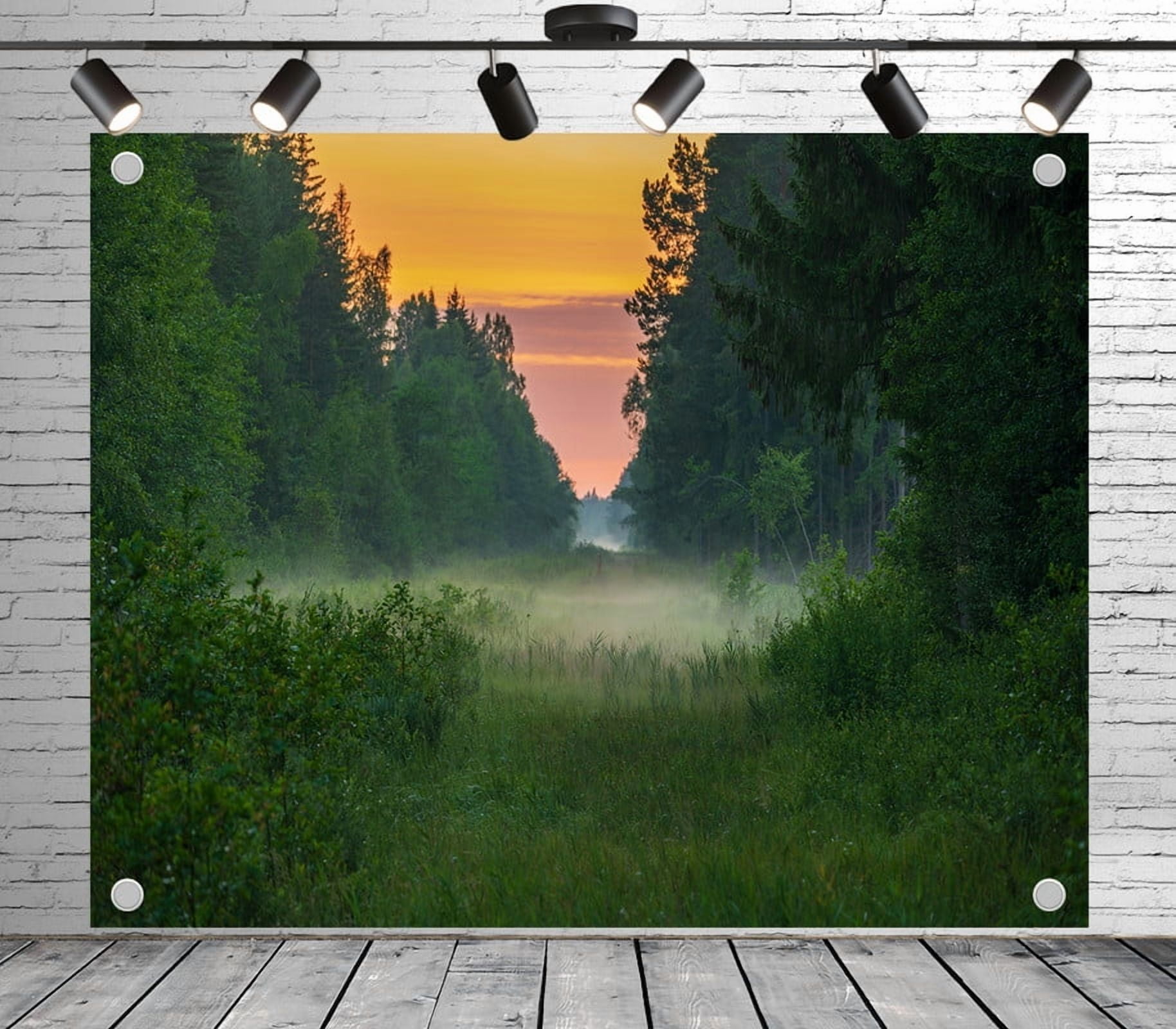 Diha 5x4ft Outdoor Background Misty Forest Meadow Sunset Glow Scenic ...