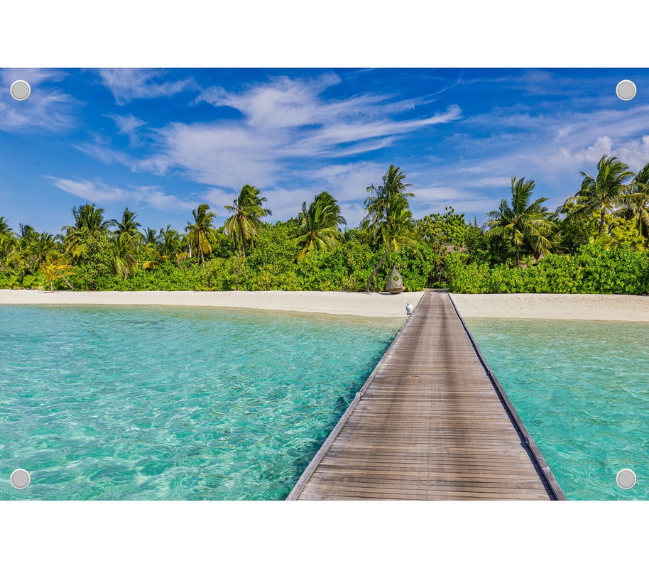 Diha 5x4ft Tropical Island Backdrop – Coconut Palm and Ocean Outdoor ...