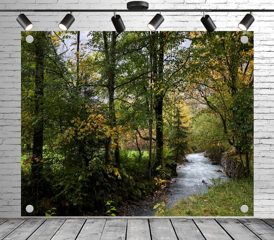 Diha 6x4ft Autumn Valley Forest Backdrop, Trees grass and stream ...