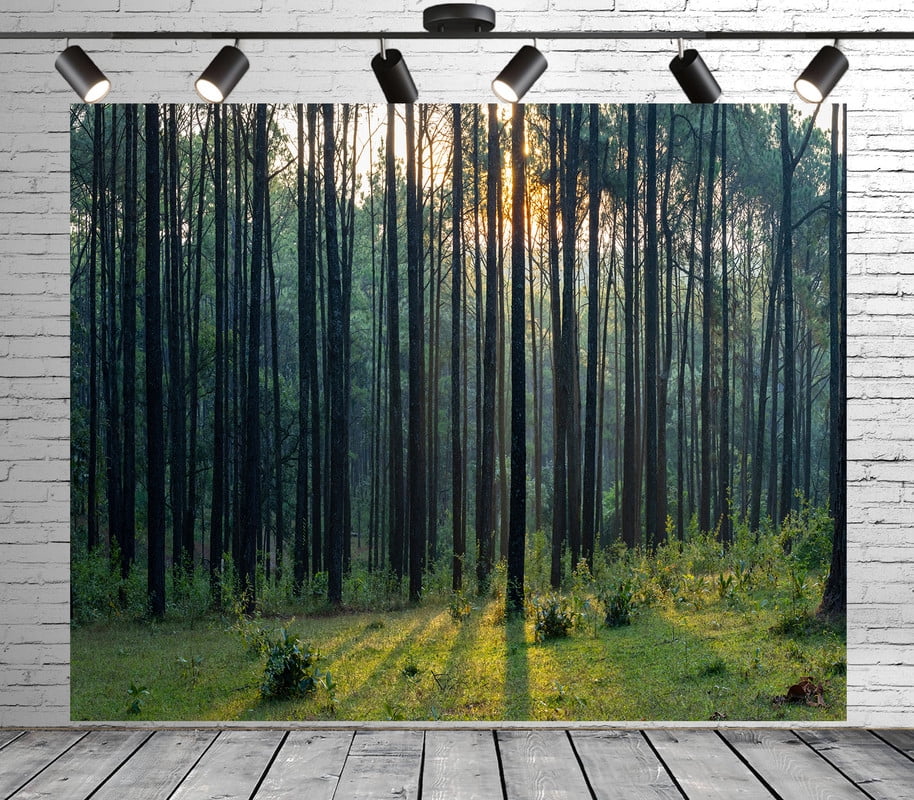 Diha 6x4ft Natural Forest Backdrop, Trees Sunshine Grassland, Backdrop ...