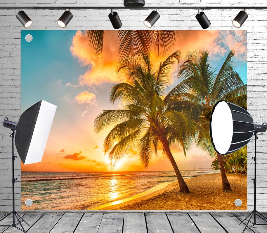 Diha 6x4ft Tropical Sunset Beach Backdrop – Coconut Palms, Golden Sand ...
