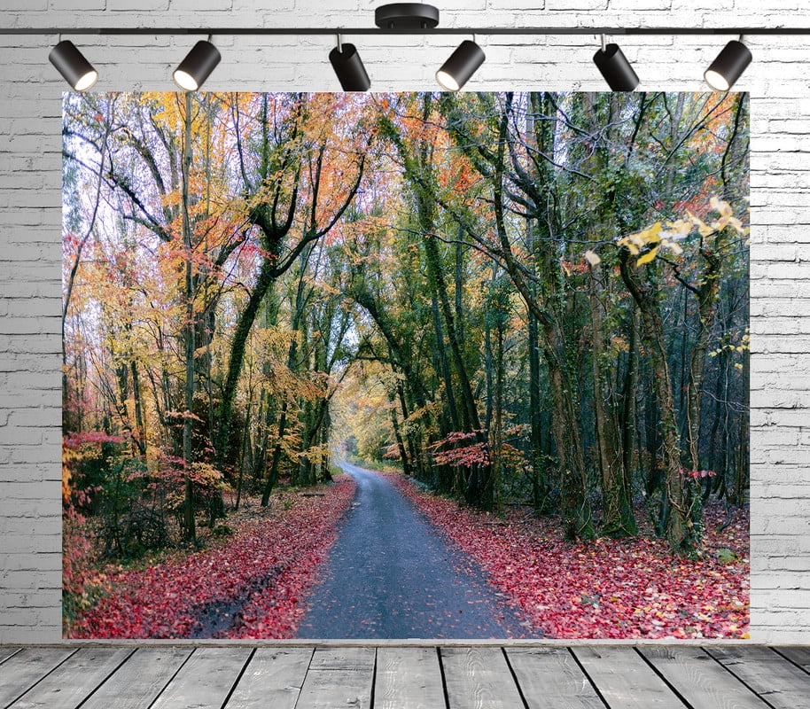 Diha 7x5ft Autumn Forest Backdrop, Road Trees Fallen Leaves, Backdrop ...