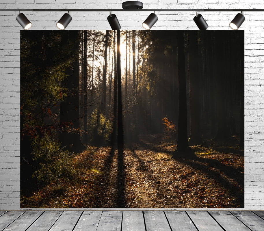 Diha 7x5ft Autumn Forest Backdrop, Trees Sunshine Ground, Backdrop for ...