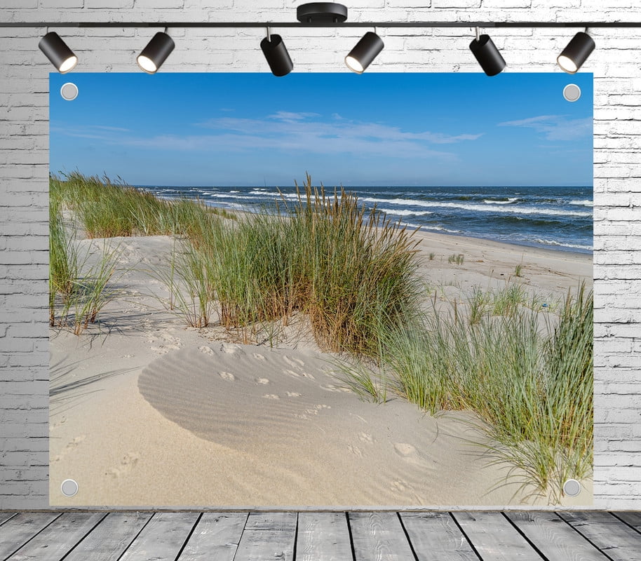 Diha 7x5ft Beach Dune Grass Backdrop – Sandy Shore, Tall Seagrass, Blue ...