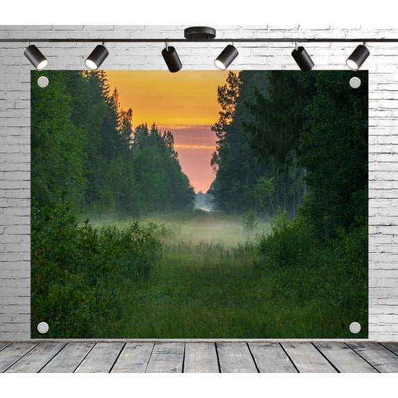 Diha 7x5ft Outdoor Background Misty Forest Meadow Sunset Glow Scenic ...