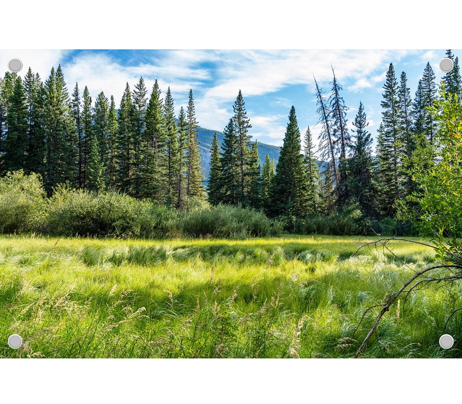 Diha 8x6ft Natural Forest Backdrop, Grassland Woods Distant Mountains ...