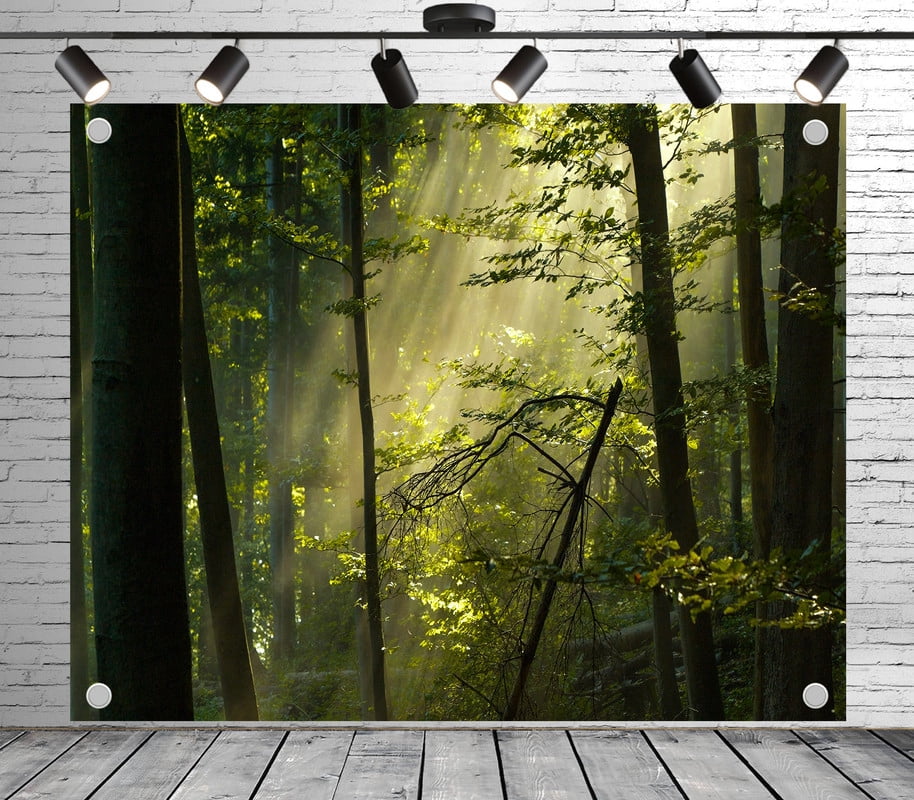 Diha 8x6ft Natural Forest Backdrop, Sunny Trees, Backdrop for Party ...