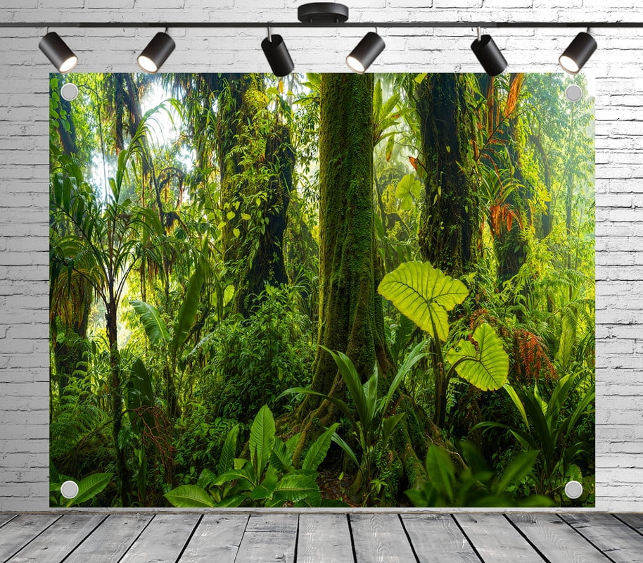 Diha 8x6ft Tropical Rainforest Backdrop, Dense vines ferns and trees ...