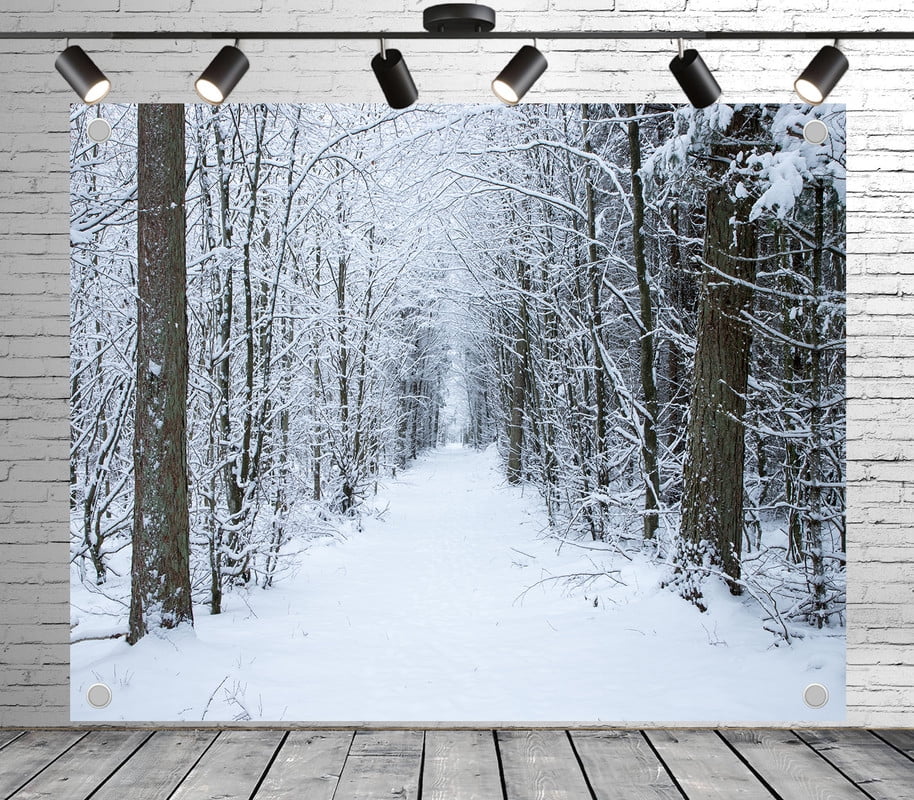 Diha 8x6ft Winter Forest Backdrop, Snow-covered branches and path ...