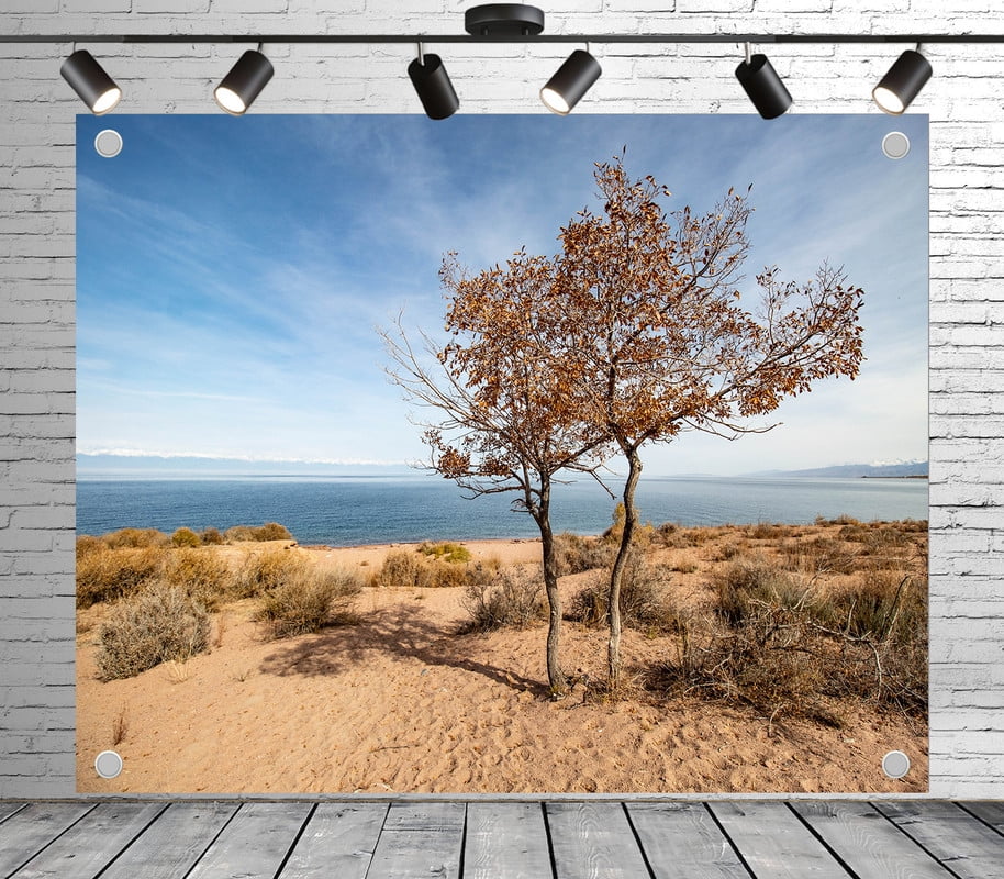 Diha 9x6ft Desert Lakeside Backdrop – Sandy Shore and Trees Under Clear ...