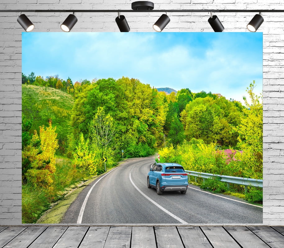 Diha 9x6ft Highway Driving Backdrop, Cars Forest Vegetation Sky ...