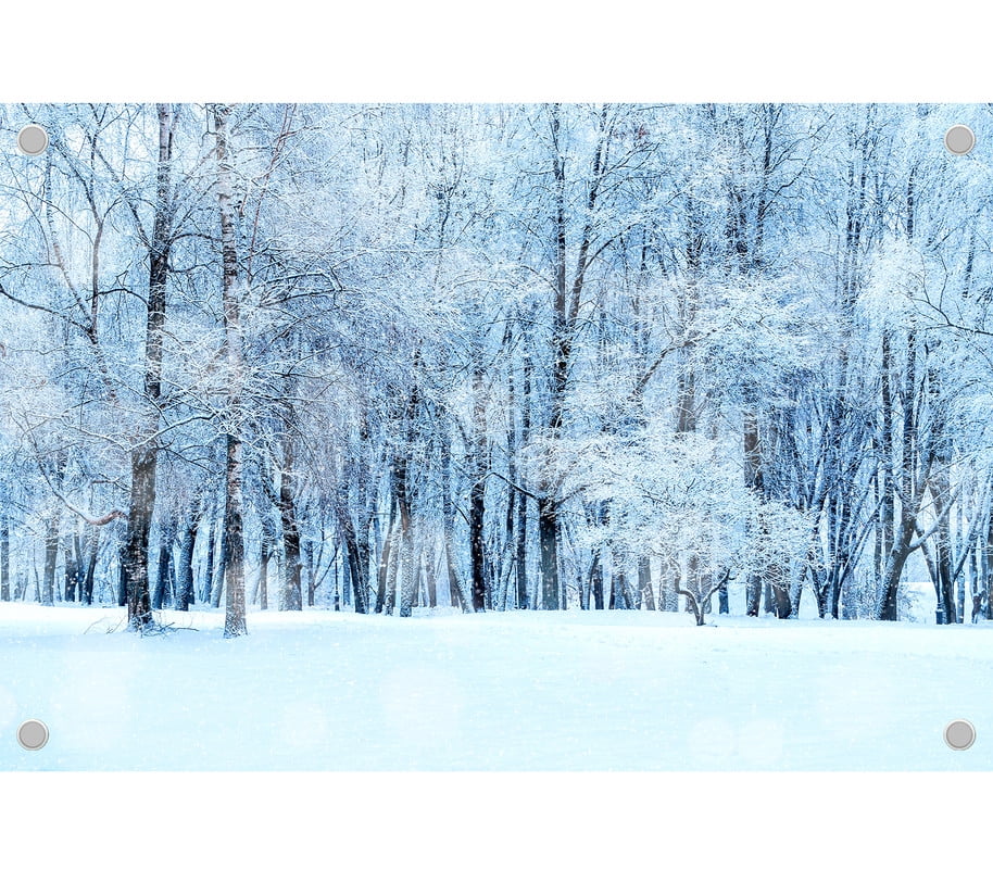Diha 9x6ft Winter Forest Backdrop, Branches covered with snow， Backdrop ...
