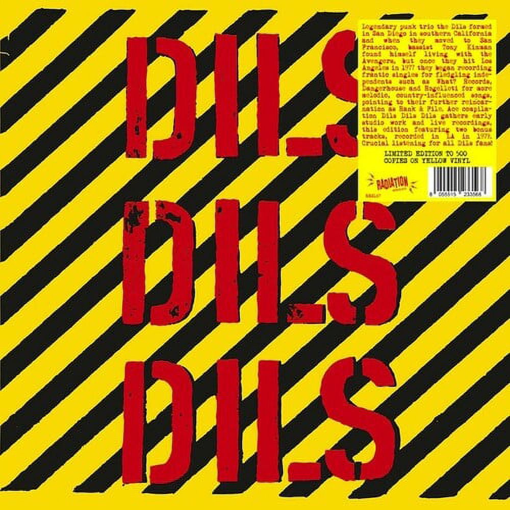 Dils - Dils Dils Dils - Music & Performance - Vinyl - Walmart.com