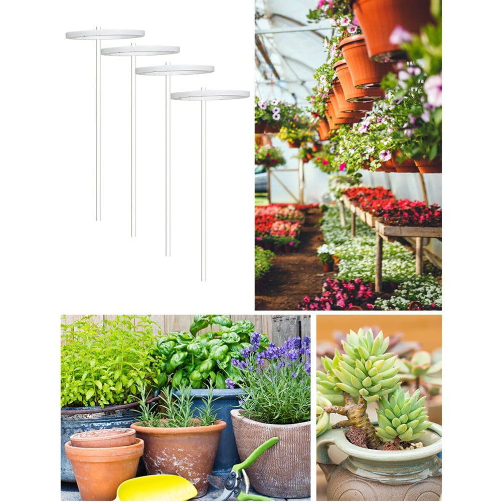 Diluopel Dimmable Grow Light Plant Growing Full Spectrum Indoor Ring ...