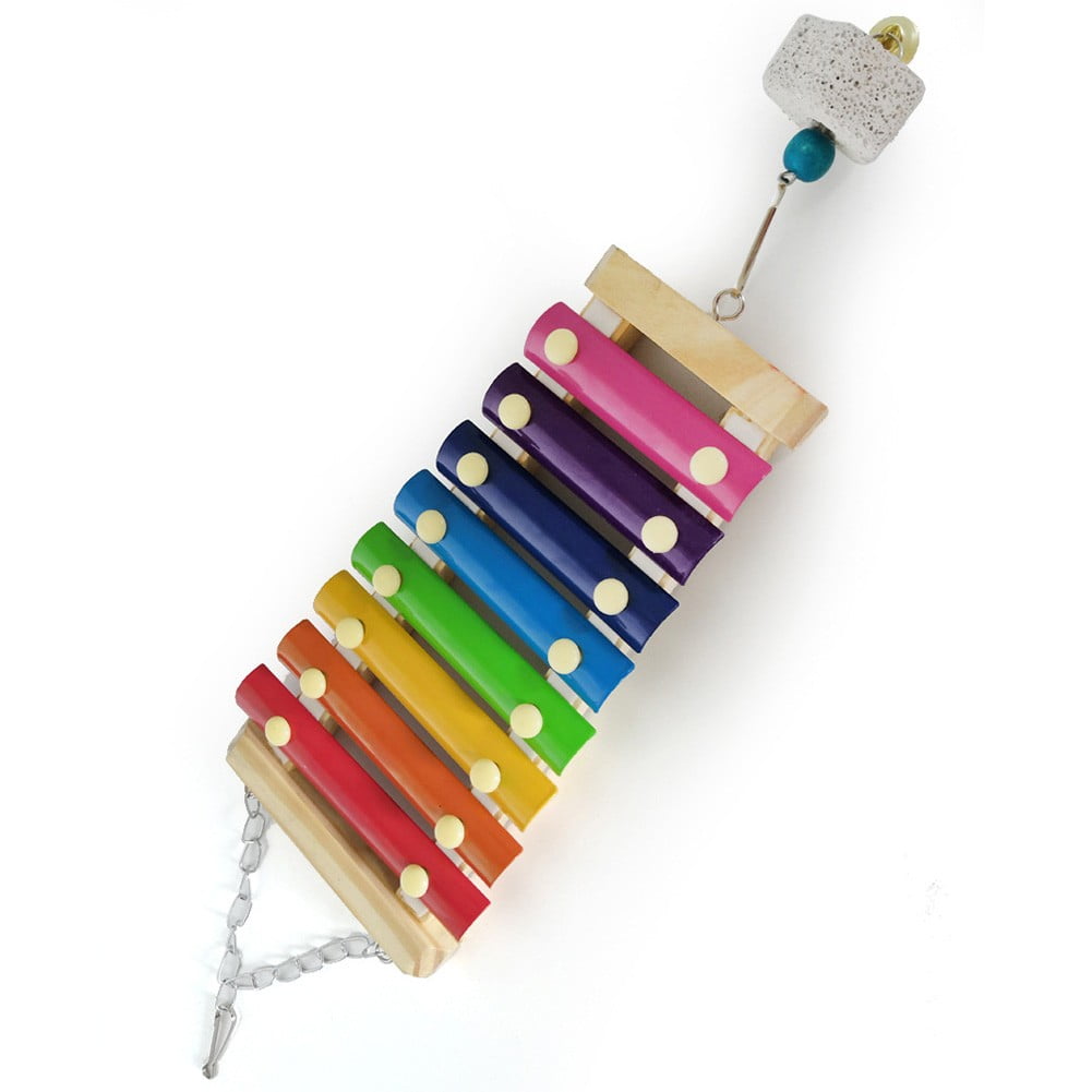 Diluopel Interactive Chicken Xylophone Toy With Grind Stone Bell ...