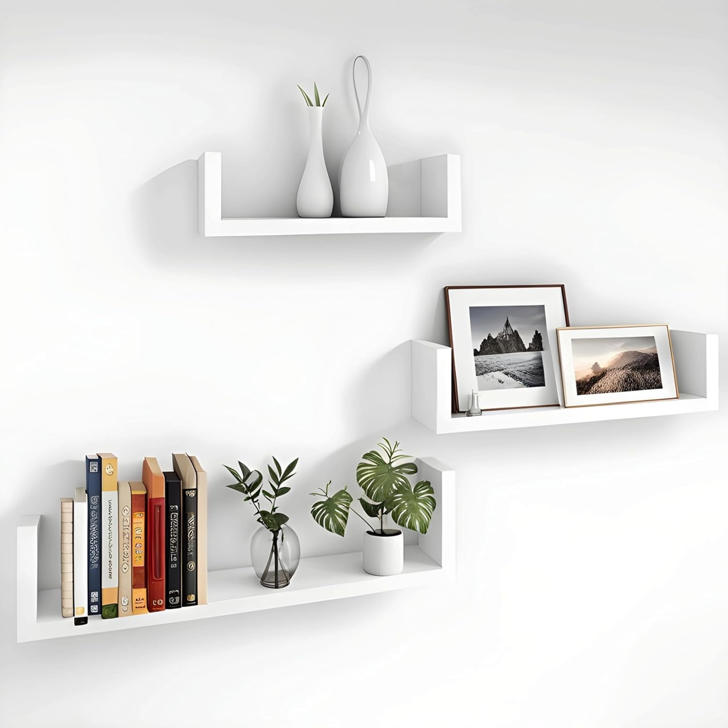 Dime Store Engineered Wood Glossy Wall Mount Floating Hanging Rack ...