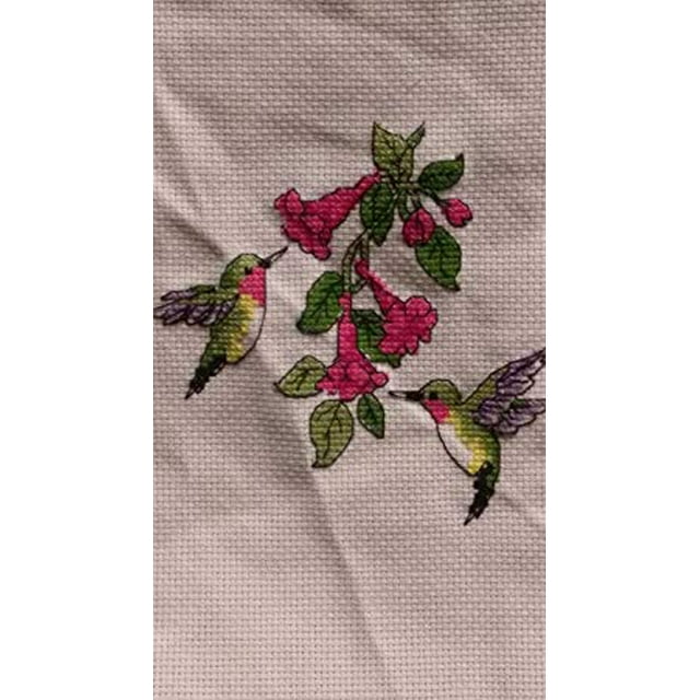 Dimensions Learn-A-Craft Counted Cross Stitch Kit 6" Round-Hummingbird ...