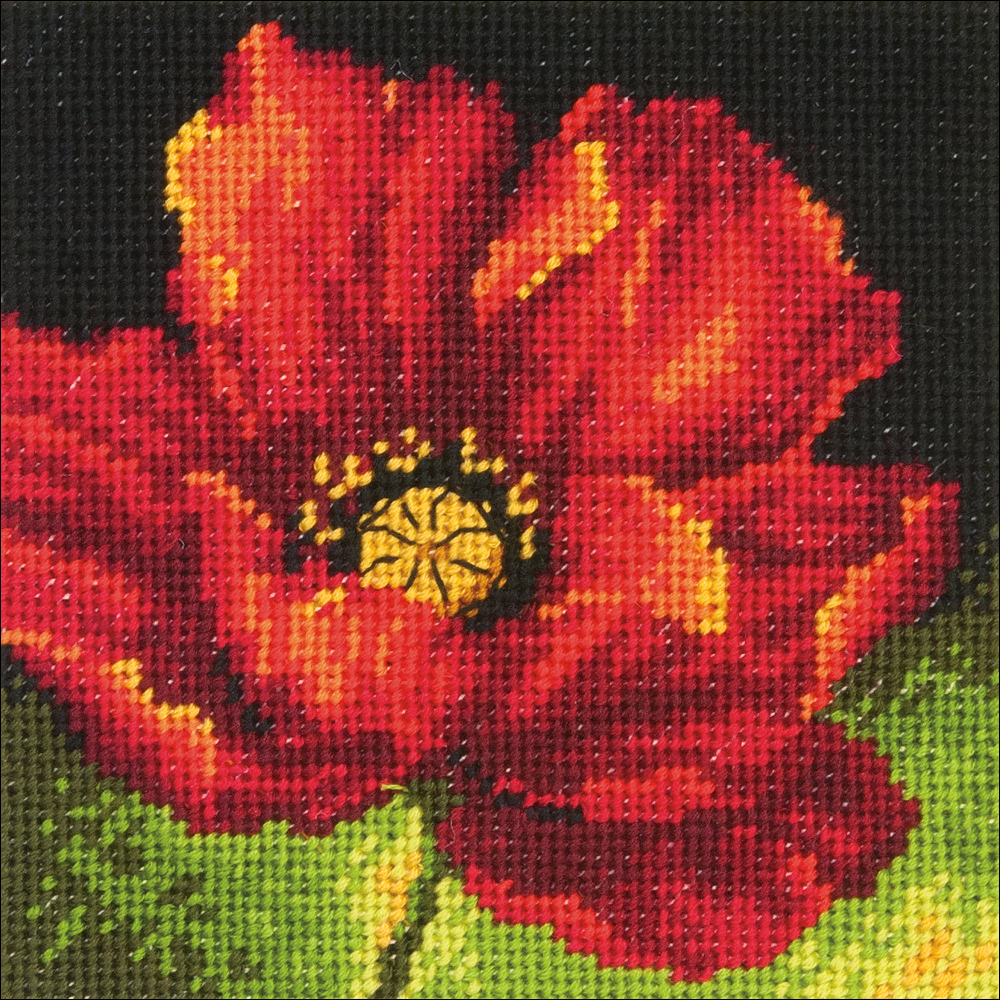 Dimensions Mini Needlepoint Kit 5"X5"-Red Poppy Stitched In Floss ...