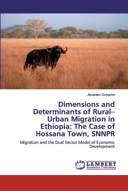 Dimensions and Determinants of Rural-Urban Migration in Ethiopia: The ...