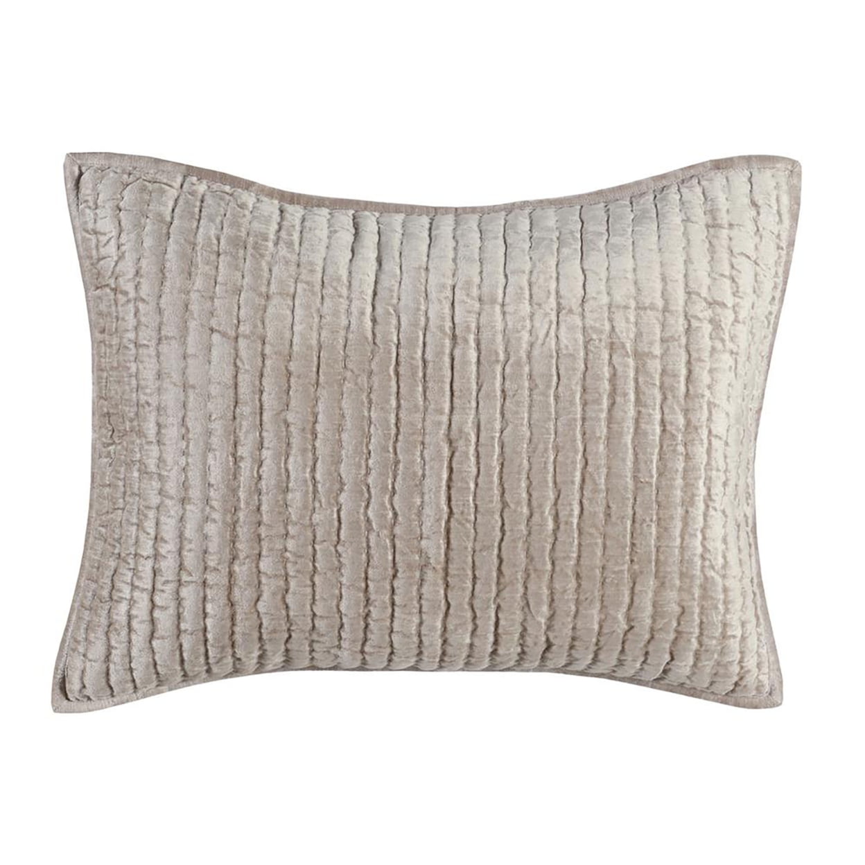 Dimitry Rayon Velvet Standard Sham By Kosas Home - Walmart.com
