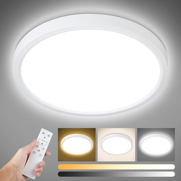 Flat Ceiling Lights