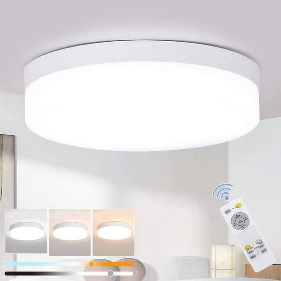 Remote Controlled Ceiling Light Fixture